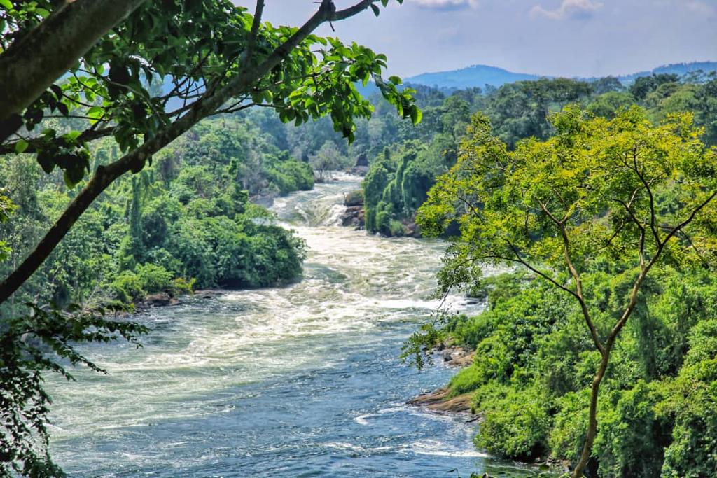 Adrift River Club | Accommodation | Adrift Uganda